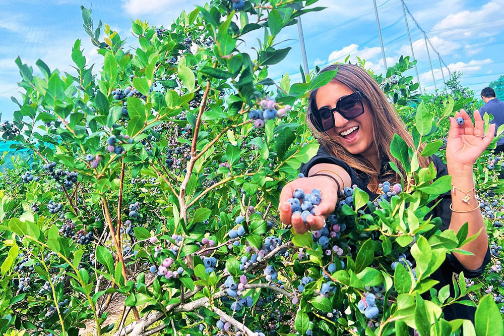 Kustermans Adventure Farm – London, Ontario's Largest Farm Attraction