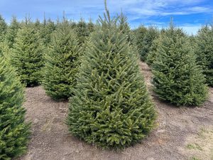 Kustermans Adventure Farm – London, Ontario's Largest Farm Attraction