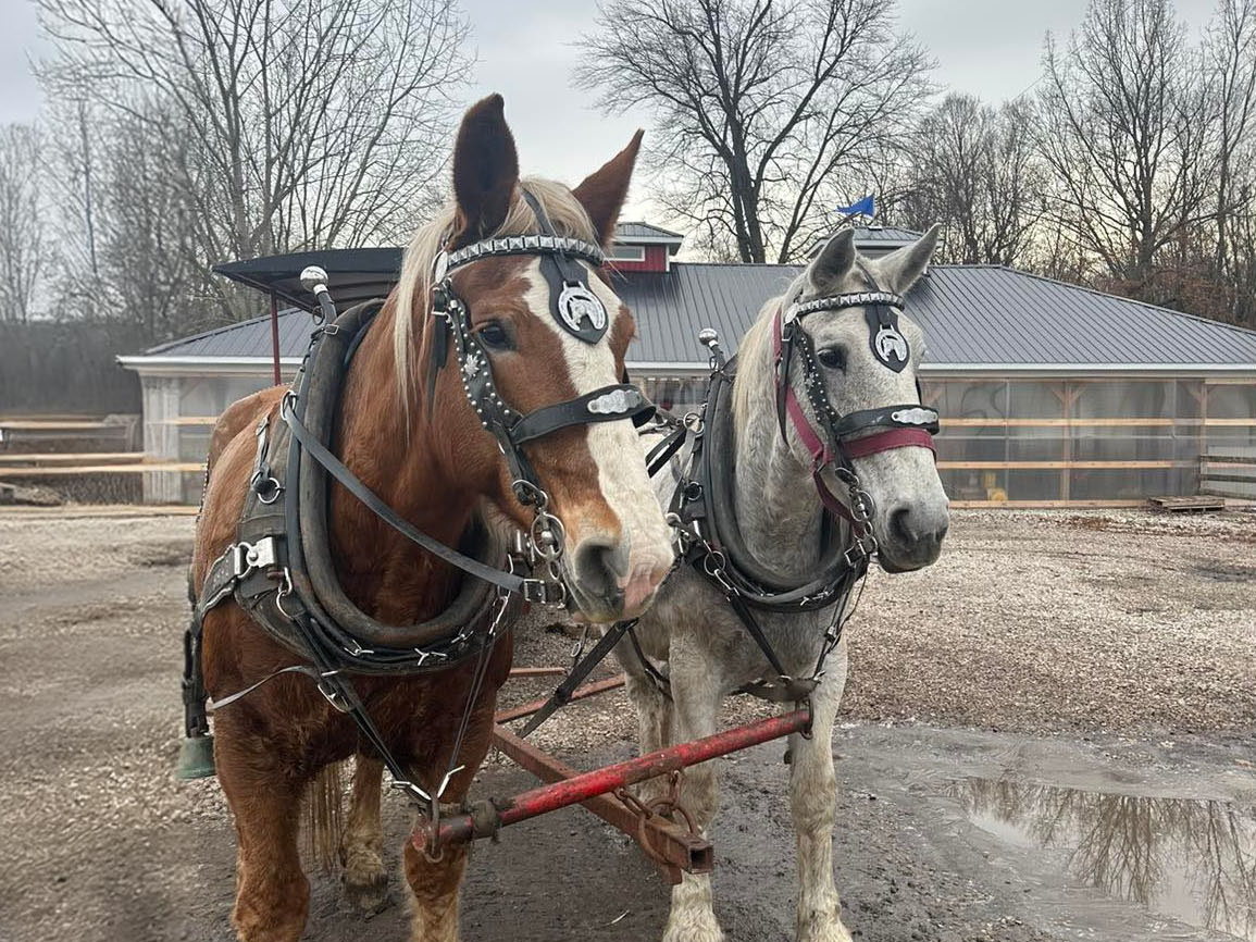 Kustermans Adventure Farm – London, Ontario's Largest Farm Attraction
